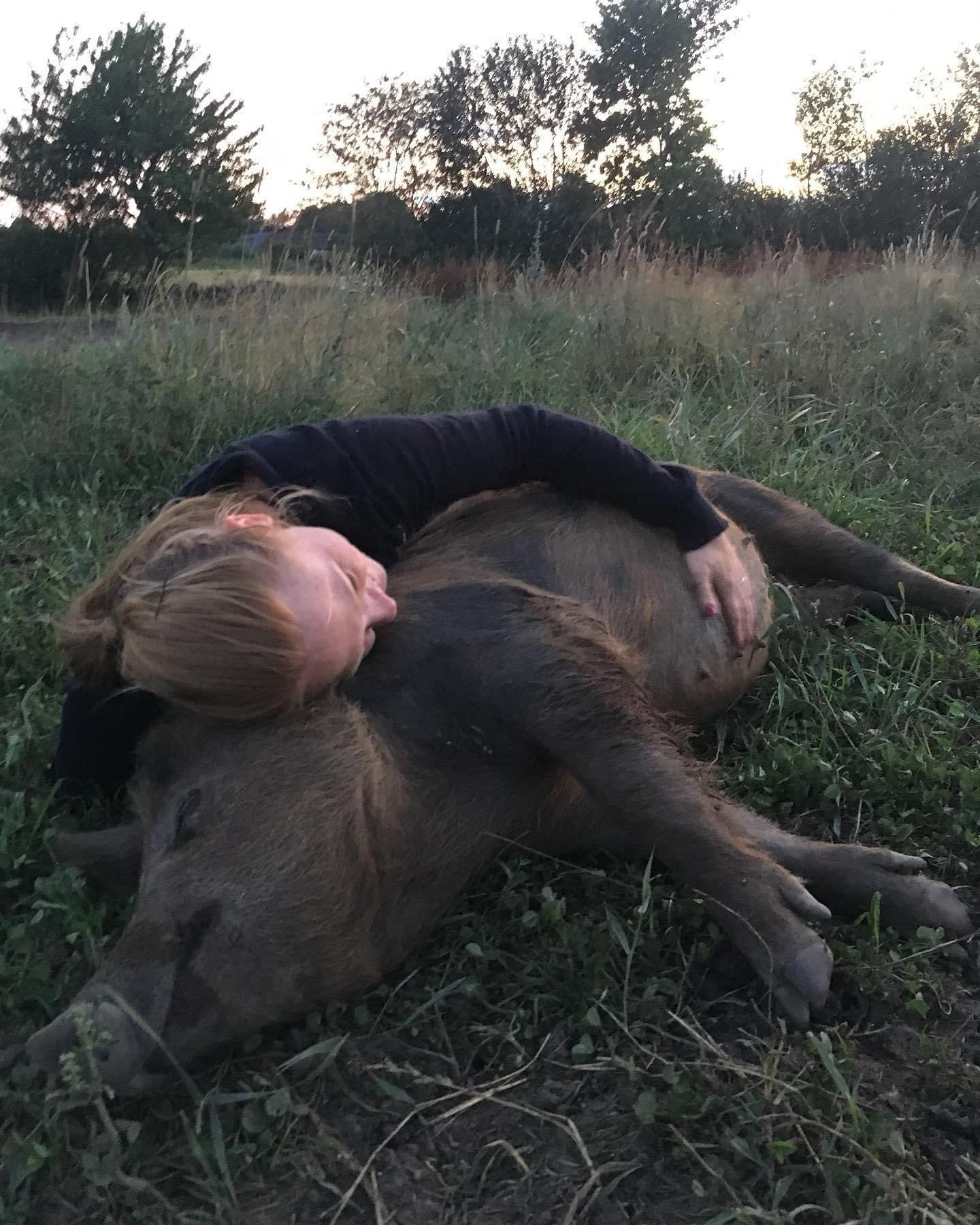 Have you hugged a pig today 🐷 – Bokeslundsgården